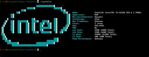 How To Display Linux CPU Info Using CPUFetch