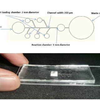A Scheme For Microfluidic Platform Design B Fabricated Microfluidic Download Scientific