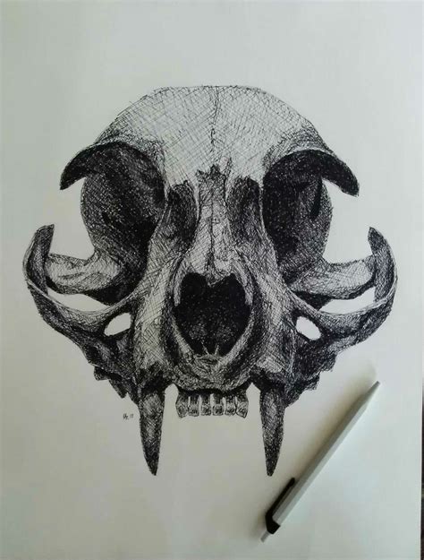 Skull Drawing Skill