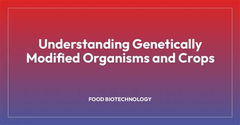 Understanding Genetically Modified Organisms And Crops • Food Safety Institute
