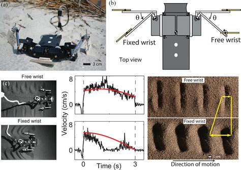 Flipper Based Terrestrial Locomotion A Sea Turtle Inspired Download Scientific Diagram