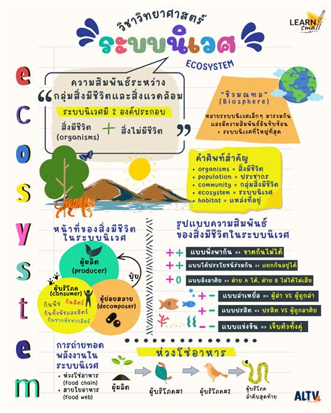 Altv ช่อง 4 Learn Small วิชาวิทยาศาสตร์ ระบบนิเวศ สิ่งมีชีวิตที่สัมพันธ์กัน