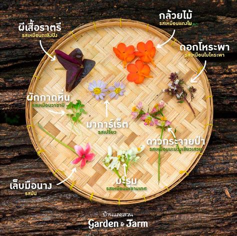 ดอกไม้ กินได้ กับ 10 เรื่องที่ต้องรู้ ก่อนที่จะเริ่มทำฟาร์มดอกไม้ บ้านและสวน