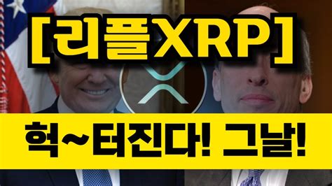 속보 입니다 리플 일정이 나왔습니다 필수 시청 Youtube