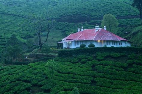 Best 13 The Beautiful Tea Estates And Bungalows In Munnar In The State