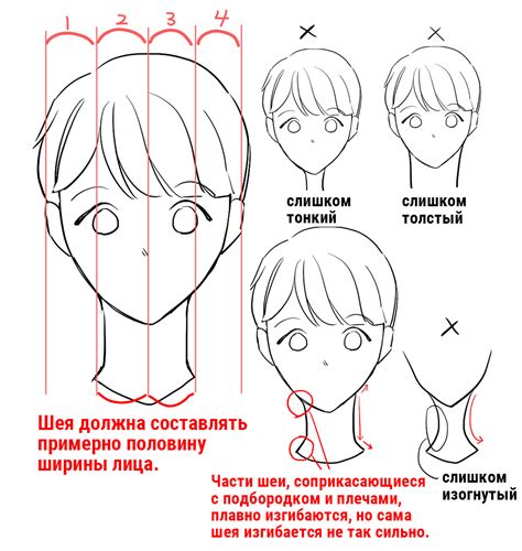 Для новичков Научитесь рисовать шею Medibang Paint Бесплатный