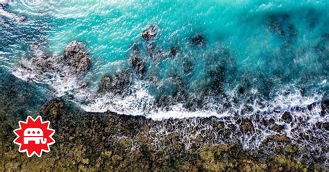 National New Jersey Day A Snapshot Of Safrans Key Contributions To