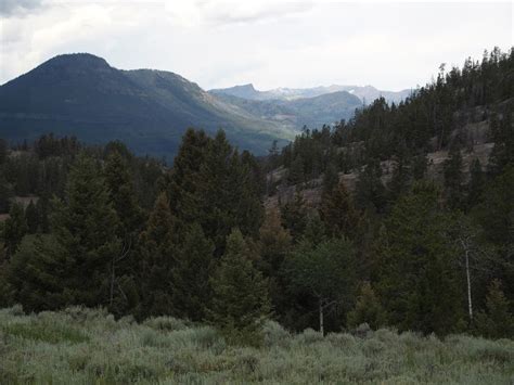 Day 7 240 Miles Bighorn National Forest To Yellowstone National Park