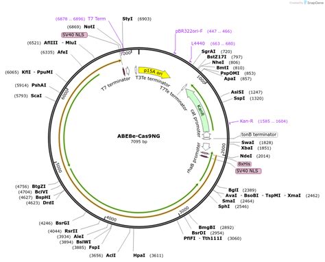Addgene