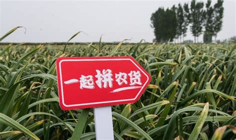 从双十二看拼多多农货“百亿补贴”新逻辑天极大咖秀