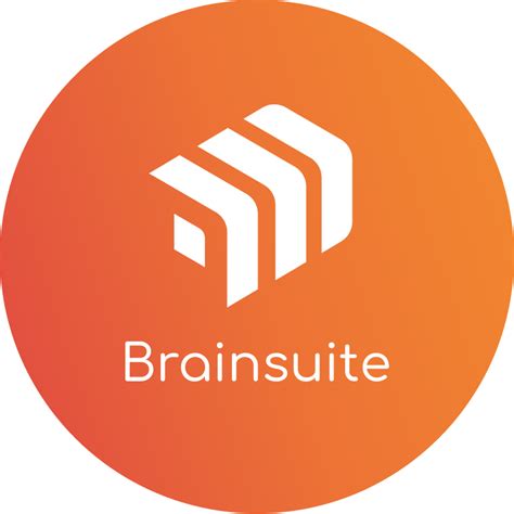 Brainsuite Elevate Marketing Effectiveness At Scale With Ai