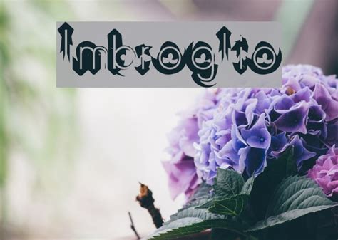 Imbroglio Font