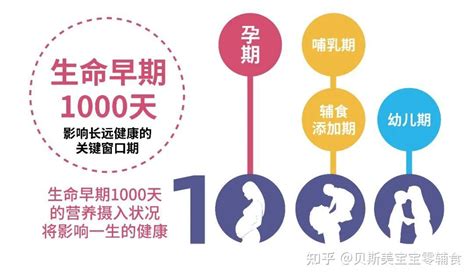 宝宝辅食：生命早期1000天宝宝辅食攻略 知乎