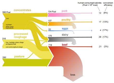 Diagram Google Chart Sankey Diagram Mydiagram Online