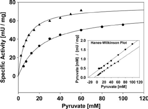 Pyruvate Dependent Specific Activities Of Cell Extracts Of C Download Scientific Diagram