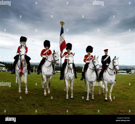 Royal Scots Dg Double Table Flags With Stands Pack Of 5
