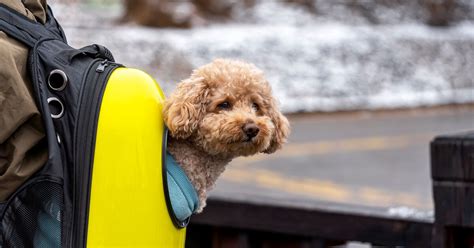 Hacemos Periodismo Infobae