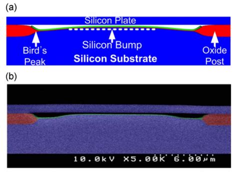 Fabrication Of Capacitive Micromachined Ultrasonic Transducers Via Local Oxidation And Direct