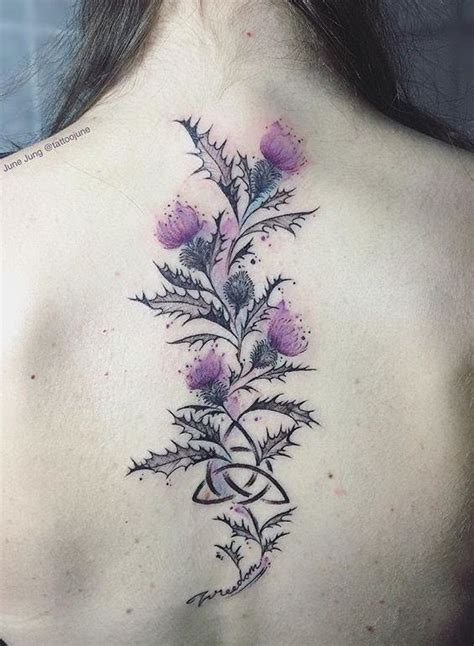 181 Best Thistle Tattoos Images On Pinterest Scottish Tattoos
