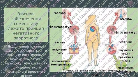 Презентація до уроку §7 Нейрогуморальна регуляція діяльності