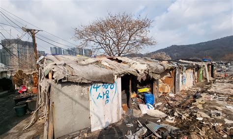 Disaster Subculture Helps People Cope