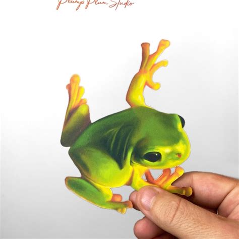Green Tree Frog Etsy