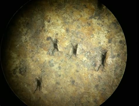 개구리소년 흉기라는 버니어캘리퍼스 사진 찍어봄 미스터리 공포 에펨코리아