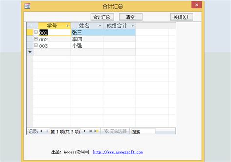 合计汇总示例 Access软件网