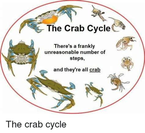 I Built A Crab R Minecraft