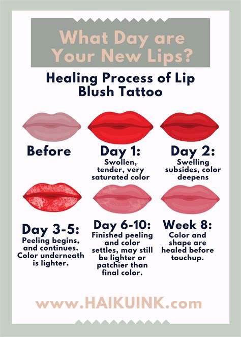 Permanent Makeup Lips Healing Saubhaya Makeup