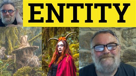 🔵 Entity Meaning Entity Examples Entity Definition Concepts