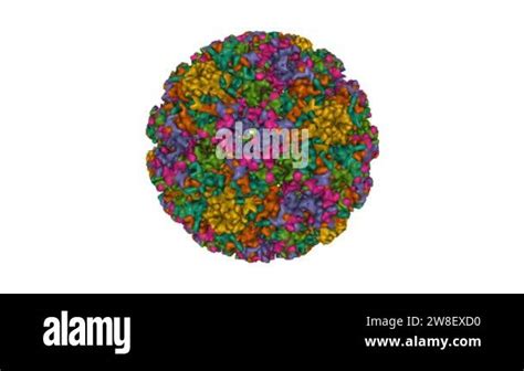 Structure Of Human Papillomavirus Type 59 L1 Virus Like Particle Animated 3d Gaussian Surface