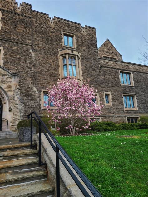Mcmaster University Rmcmaster