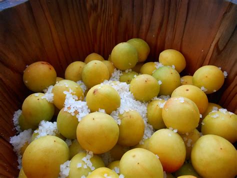 무료 이미지 과일 식품 생기게 하다 노랑 수제의 자두 살구 채식주의 자 전통적인 일본 음식 꽃 피는 식물 장미 가족 건강한 말린 매실 육상 식물