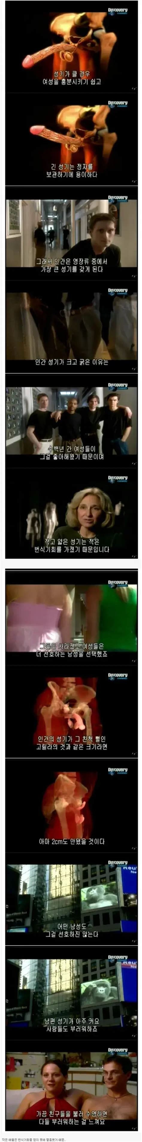 남성의 성기가 굵고 긴 이유 