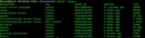 Docker Backup Manjaro Dot Site