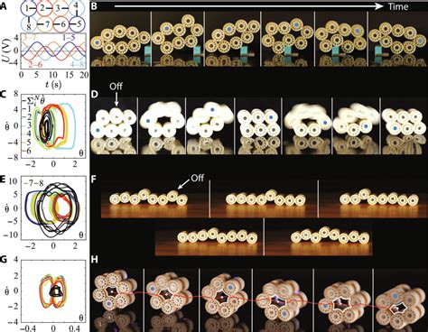 Science Robotics速递：使用固态和液态集体状态的自组织机器人聚合体 集智俱乐部