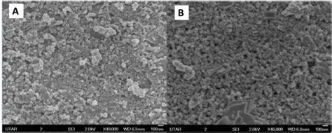 Sem Micrographs Of Photoanode Surface At 40 000x Magnification A Download Scientific Diagram