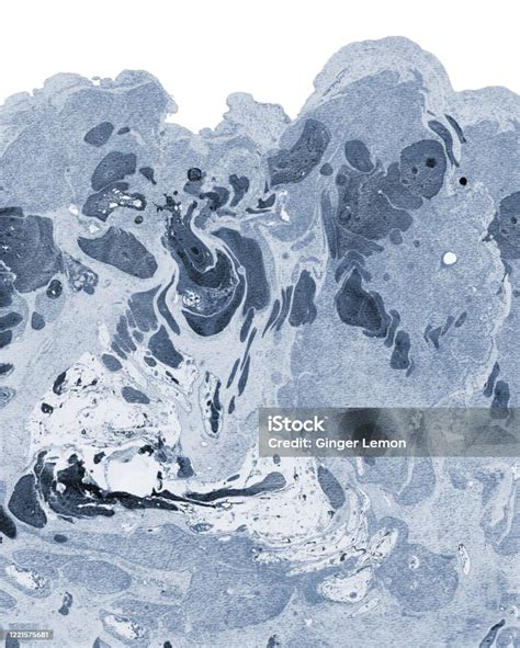 아름다운 추상 아크릴 그림 배경입니다 대리석 텍스처입니다 혼합 파란색 밝은 회색 젖은 종이에 남색 페인트 현대적인 디자인 특이한 예술 기술 우아한 색상 0명에 대한 스톡