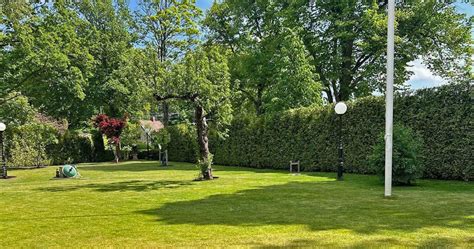 Häckklippning Danderyd Täby Och Lidingö 2023