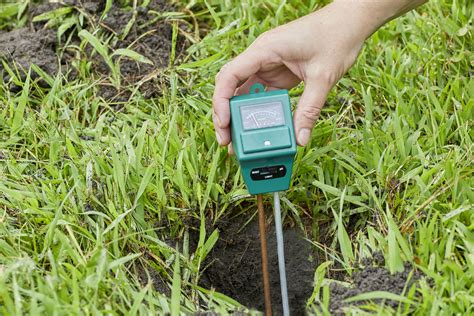 How To Test Soil PH