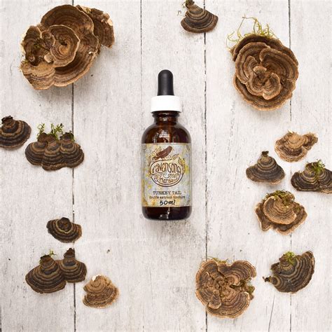 Mushroom And Lichen Extracts — Ravensong Seeds And Herbals
