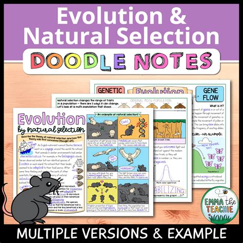 Evolution And Natural Selection Doodle Notes Emmatheteachie