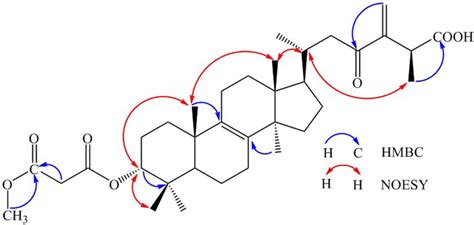 Key Nuclear Overhauser Effect Spectroscopy And Heteronuclear Multiple Download Scientific