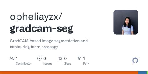 Gradcam Seg Gradcam Seg Ipynb At Main · Opheliayzx Gradcam Seg · Github