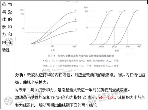 看图说话！执业药师药效学“量 效曲线图”！执业药师考试 正保医学教育网