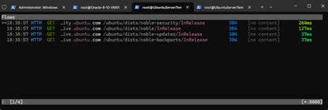 Mastering The Mitmproxy MITM Interactive HTTPS Proxy On Linux Matrixpost Net