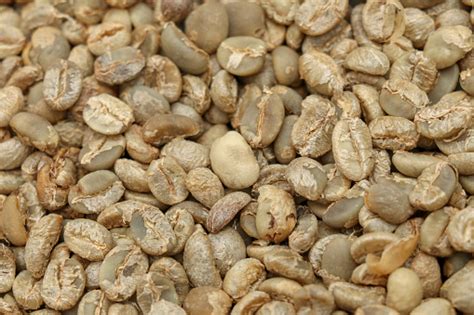 커피 아라비카 콩을 햇빛에 의해 건조하게 만드는 과정 인도네시아 발리의 커피 공장에서 커피 원두 건조의 자연적인 과정 커피