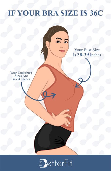 How Big Is A 36c Bra Cup Size Thebetterfit