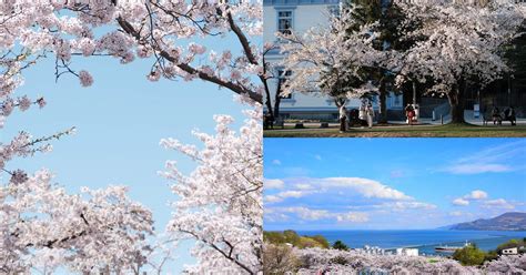 홋카이도 And 삿포로 조인 일일 투어 클룩 Klook 한국